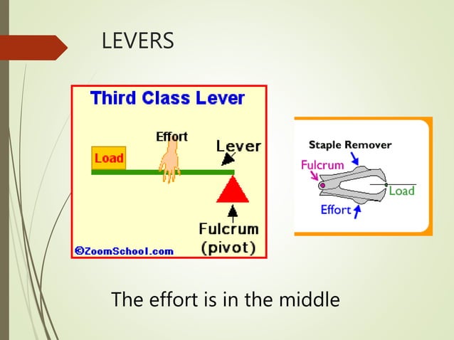 Simple machines | PPT