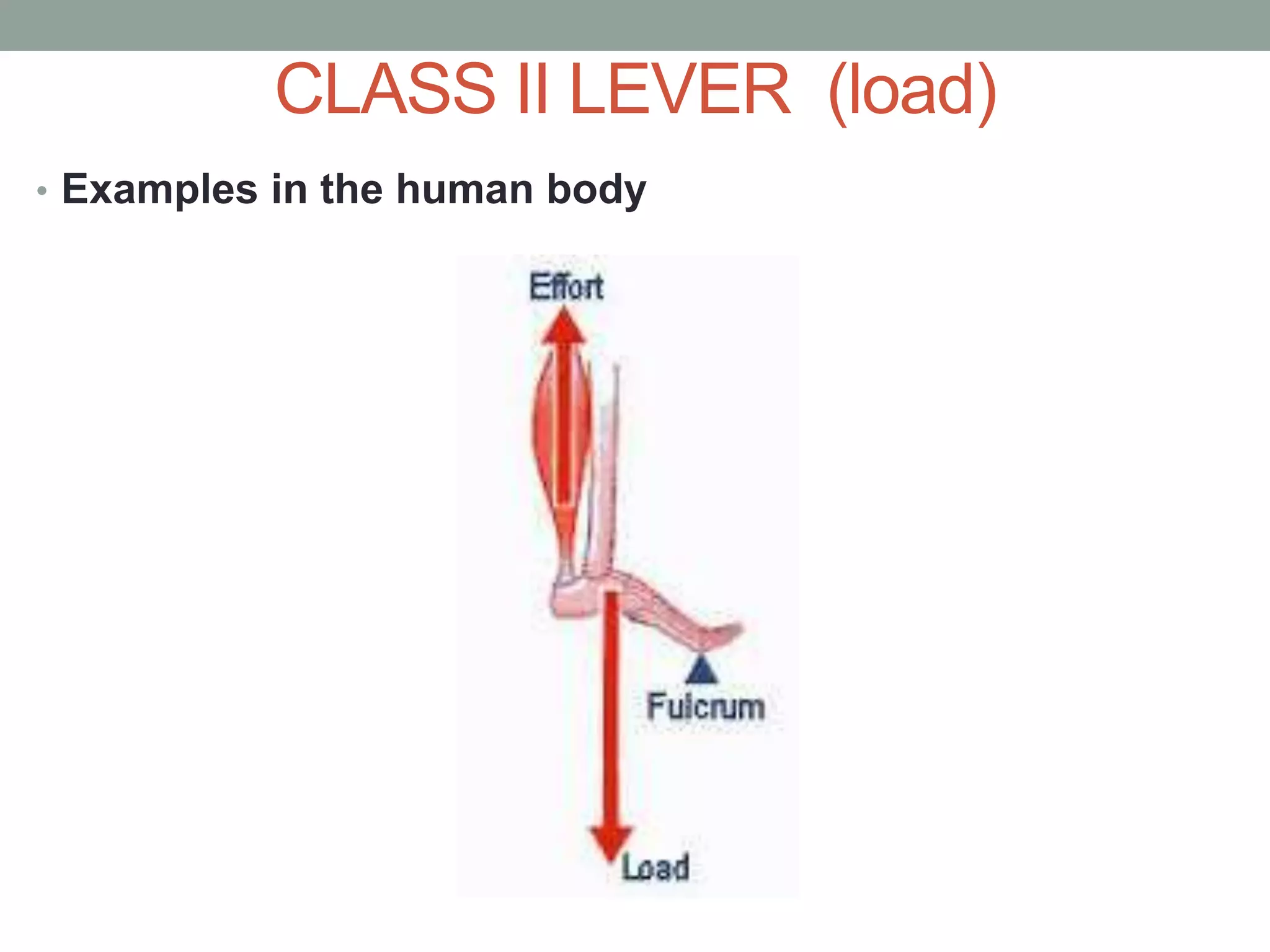 Simple machines levers | PPTX