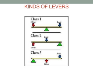 Simple machines levers | PPTX