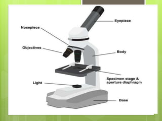 Simple microscope | PPTX