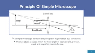 Important points to remember about simple microscope | PPTX