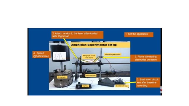 simple muscle twitch Practical guide to identify muscle twitch | PPTX