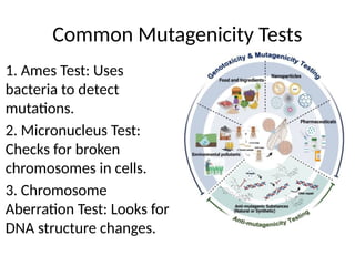 Simple_Mutagenicity_and_Carcinogenicity_by_Muhammad_Abbas.pptx