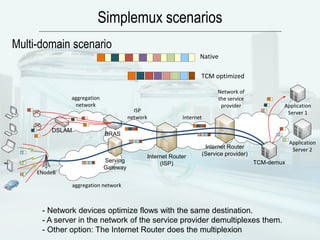 Simplemux traffic optimization | PPT