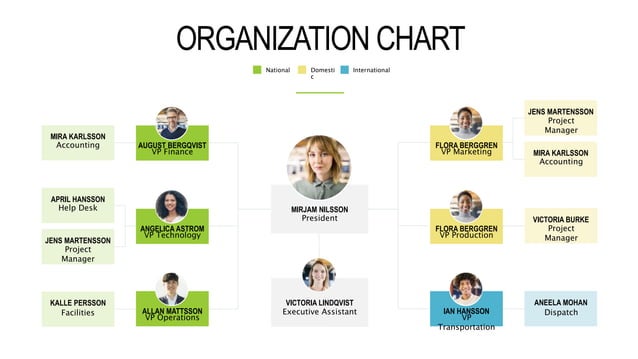 Simple organization chart for try test it | PPT