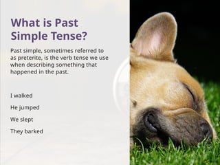 Simple past review explanation and exercises | PPT