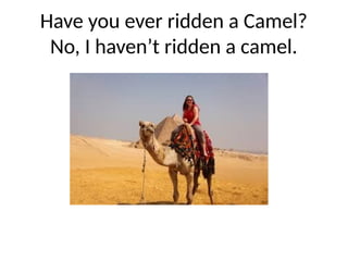 Simple Past X Present Perfect Tense 2024.pptx