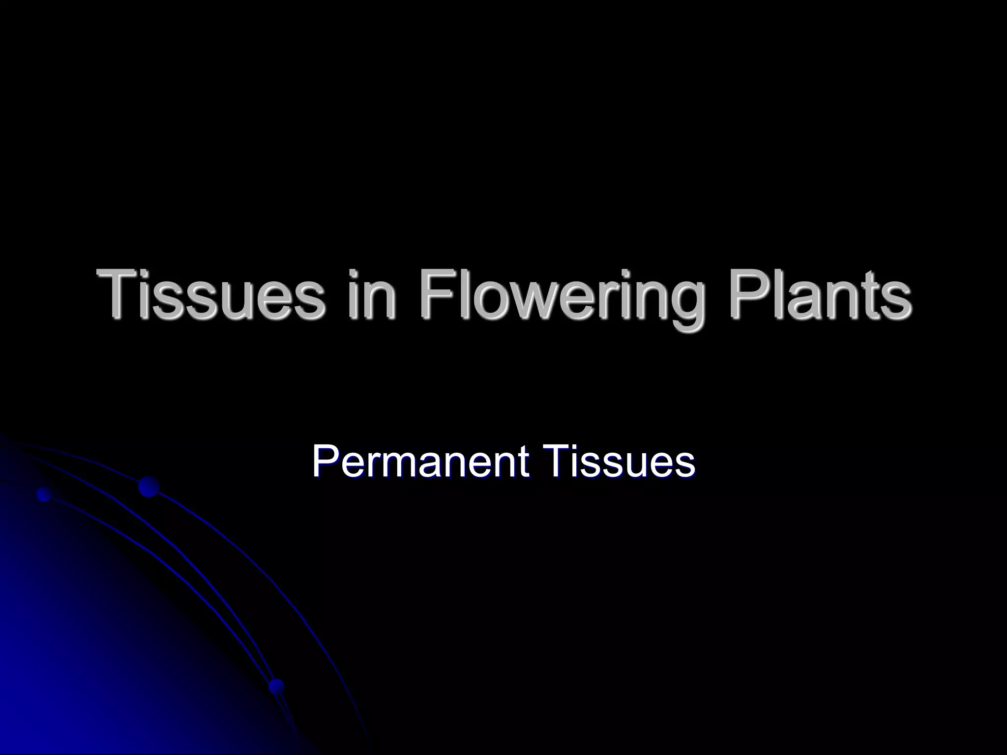 Simple permanent tissue | PDF