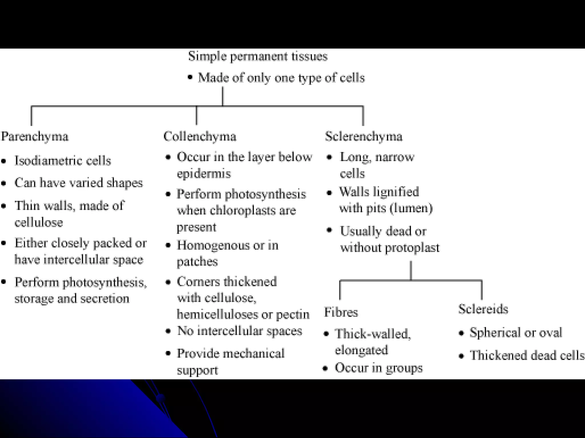 Simple & permanent tissues in flowering plants | PPT | Biological ...