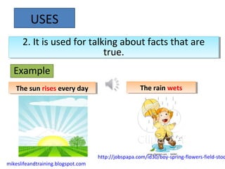 Daily Routines | PPT