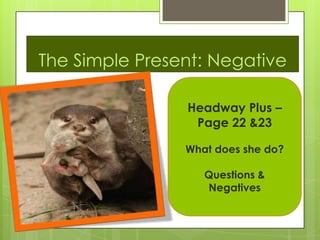 Simple present negative | PPTX