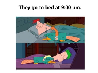 simple present story/examples to practice.ppt