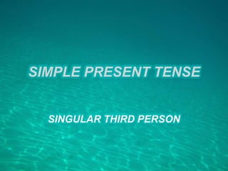 Simple present tense | PPTX