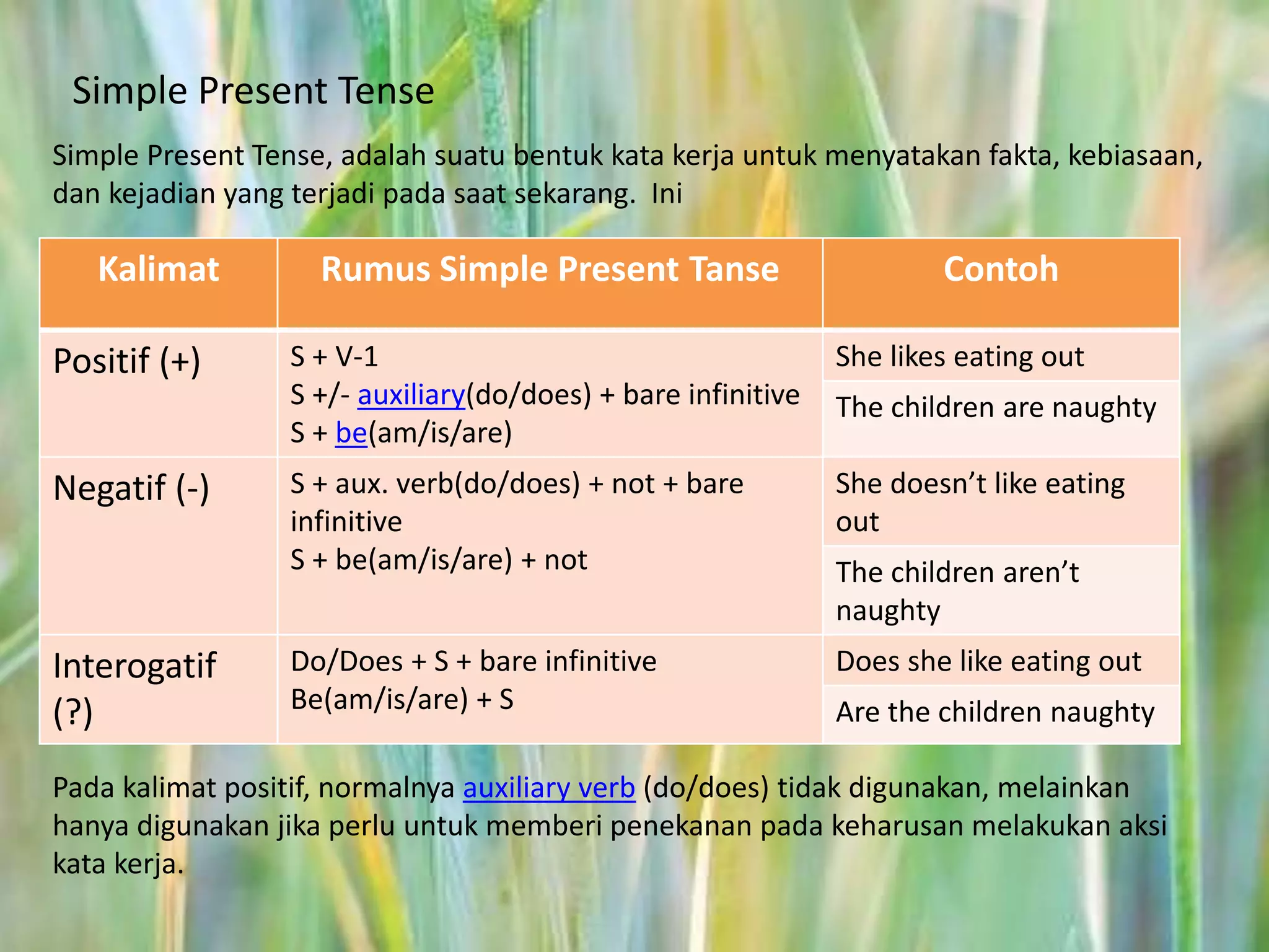 Simple_Present_Tense.pptx