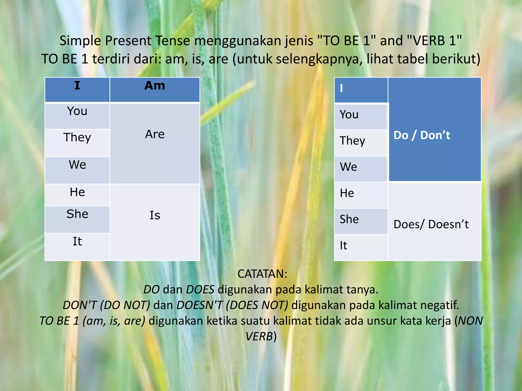 Simple_Present_Tense.pptx