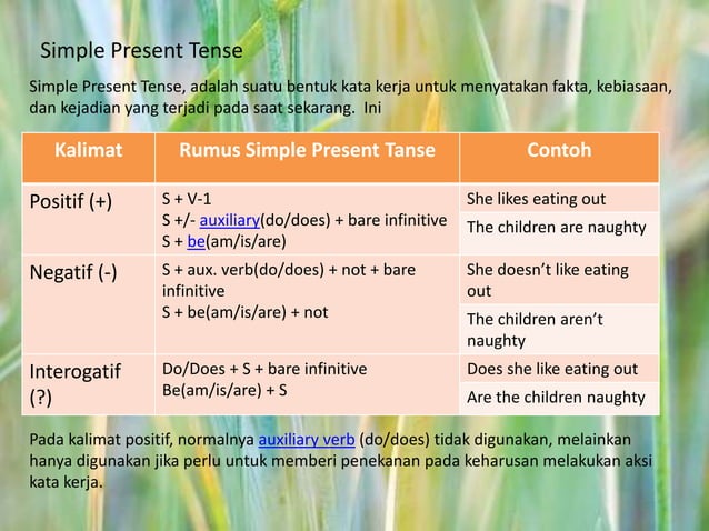 Simple_Present_Tense.pptx