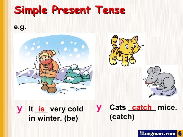 Simple present tense dibujos