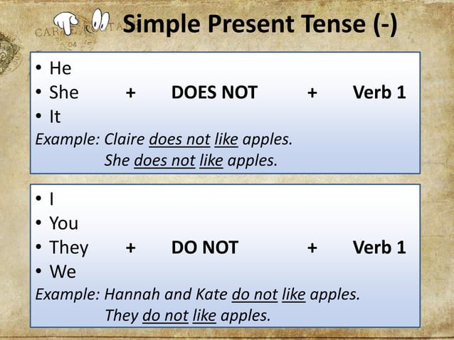 Simple present tense negative form | PPTX