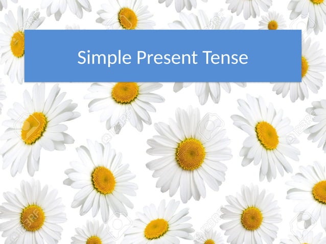 Simple Present Tense Ppt 50 Pptx Class P Ppt