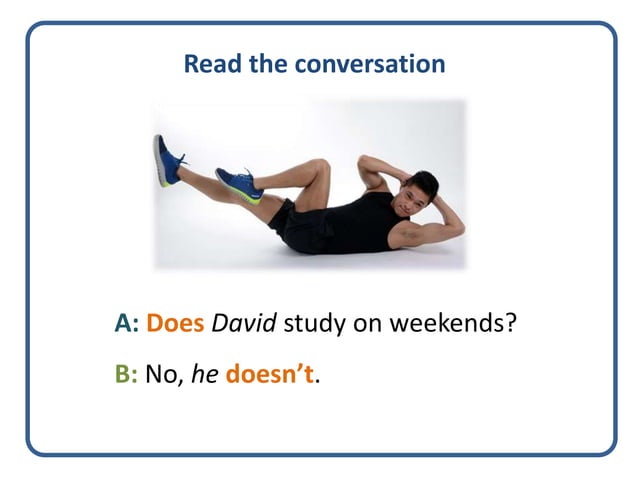 Yesno Questions Interactive And Downloadable Worksheet