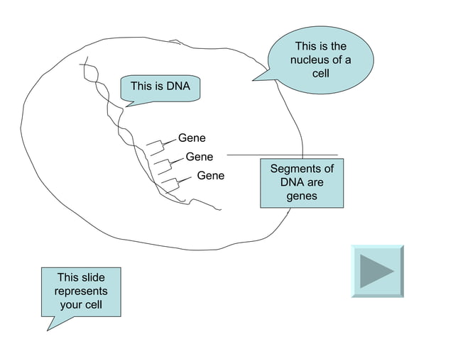 Simple Protein Synthesis | PPT