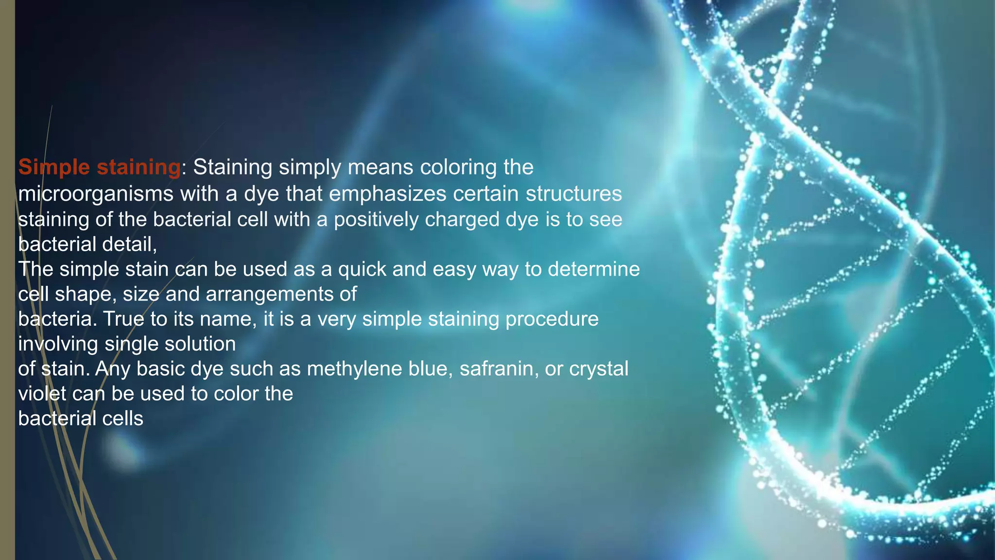 Simple staining Microbilogy | PPT