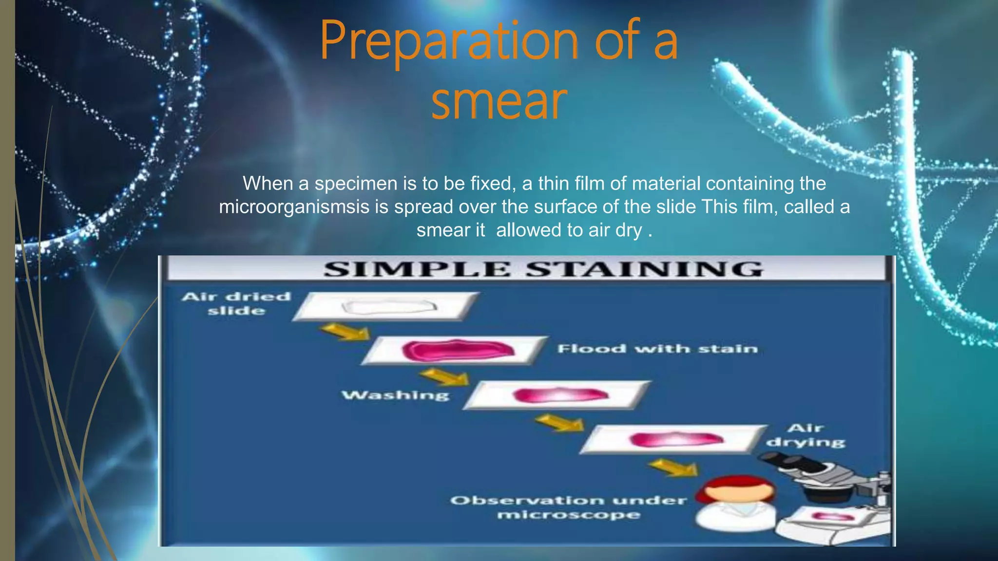 Simple staining Microbilogy | PPT