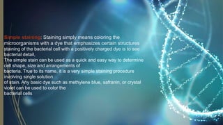 Simple staining Microbilogy | PPT
