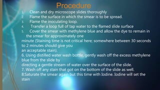Simple staining Microbilogy | PPT