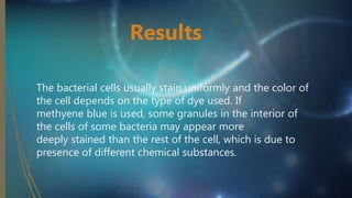 Simple staining Microbilogy | PPT