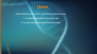 Simple staining Microbilogy | PPT