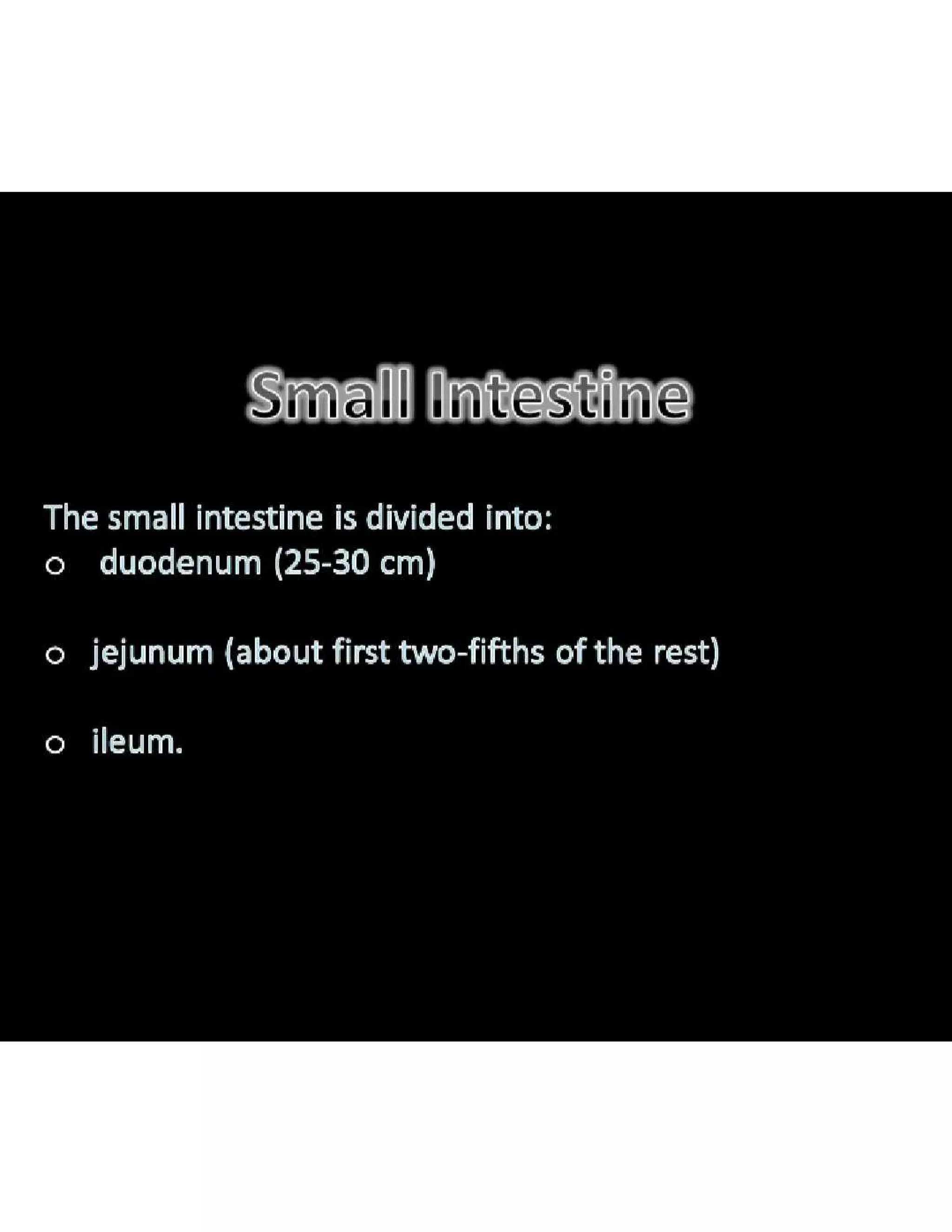 Simplest diagram of intestine histology | PDF