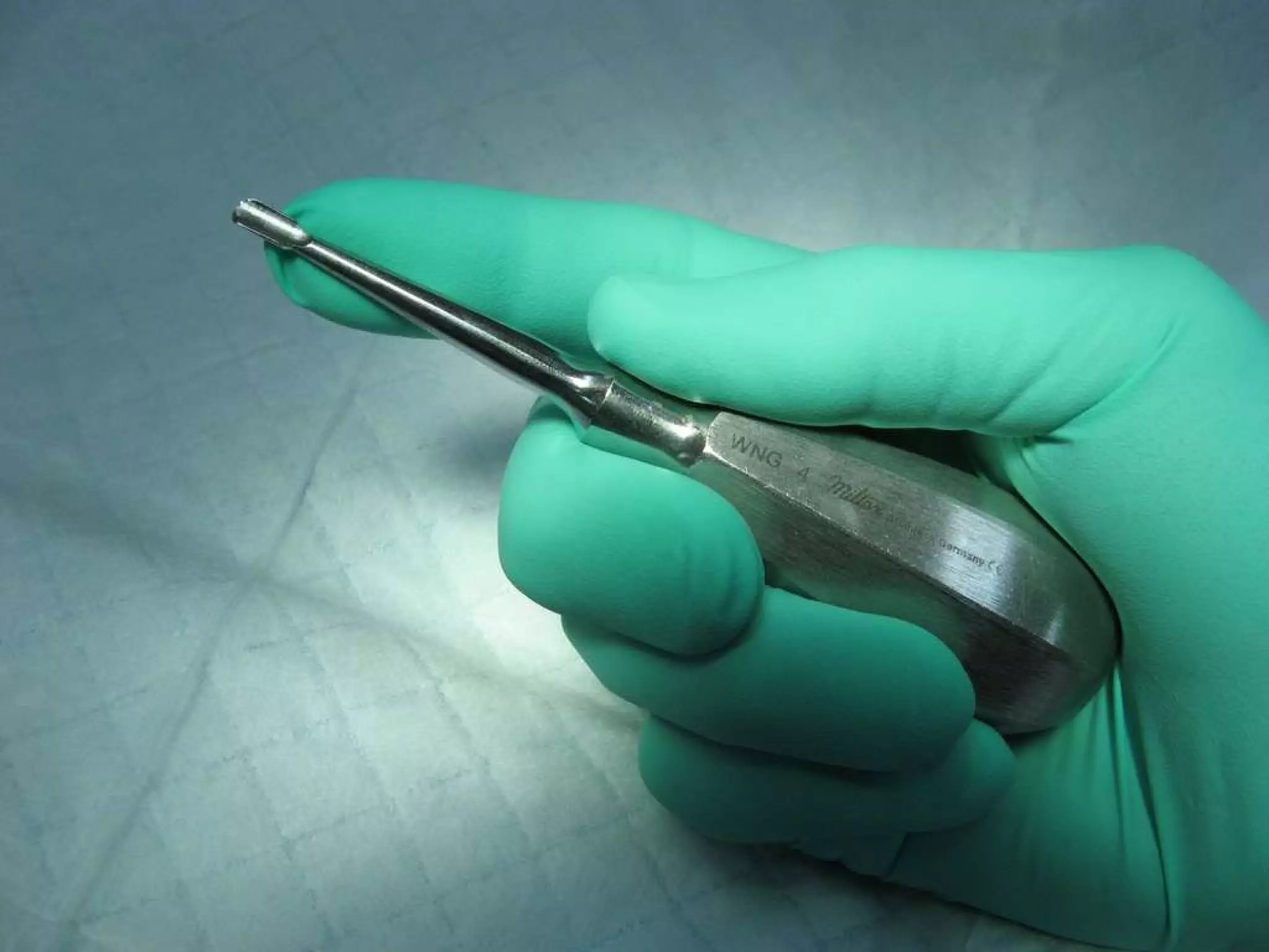 Simple & Surgical Extractions in Veterinary Dentistry for Dogs and Cats ...