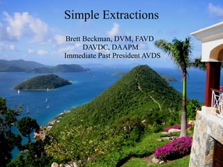 Simple & Surgical Extractions in Veterinary Dentistry for Dogs and Cats ...