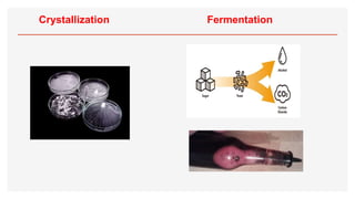 Simple Syrup IP 66 Pharmaceutics lab, simple syrup IP 66, syrup ip66 ...