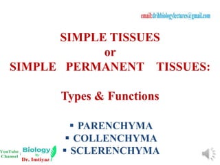 simple tissue.pptx