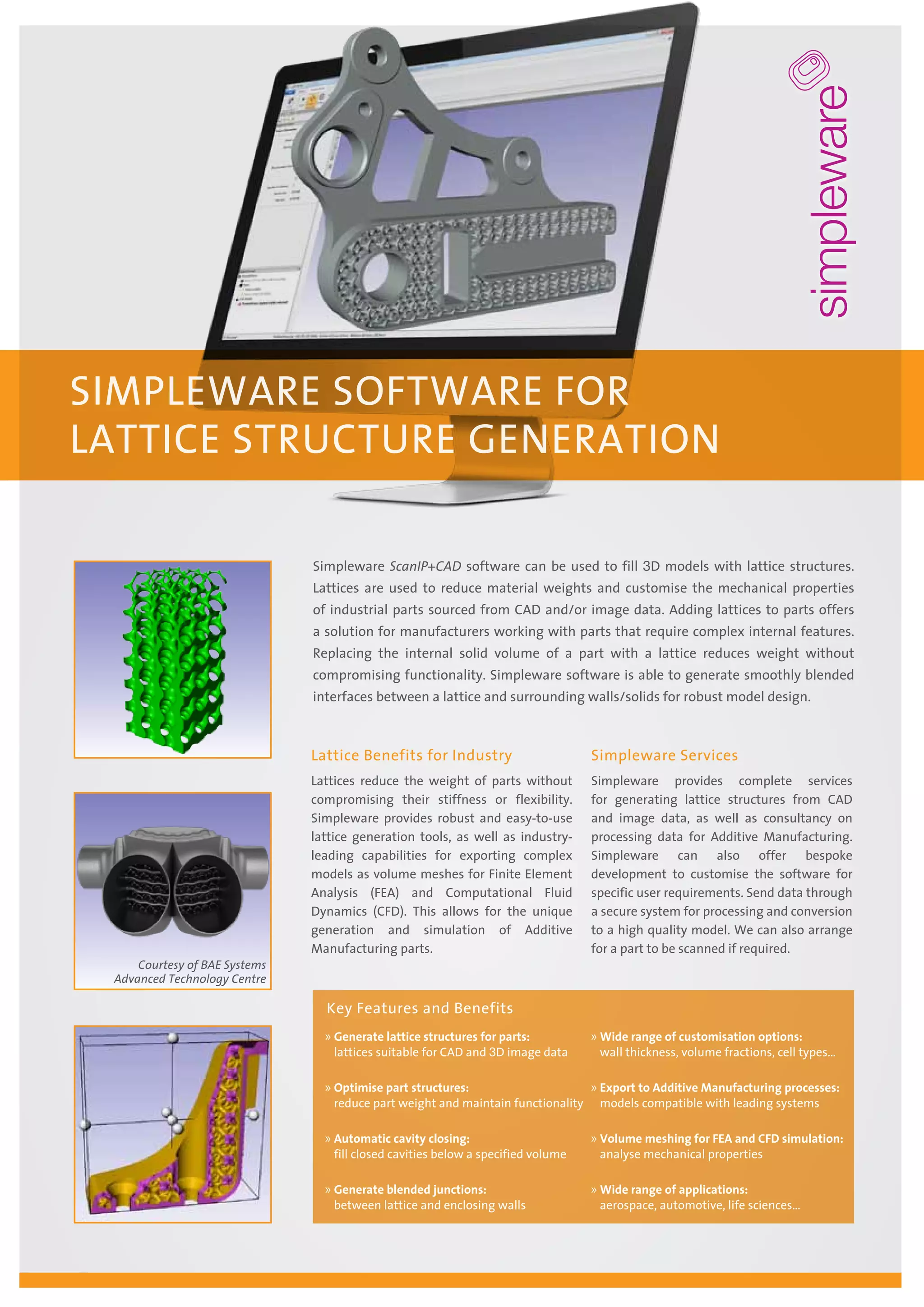 Simpleware Software for Lattice Structure Generation | PDF