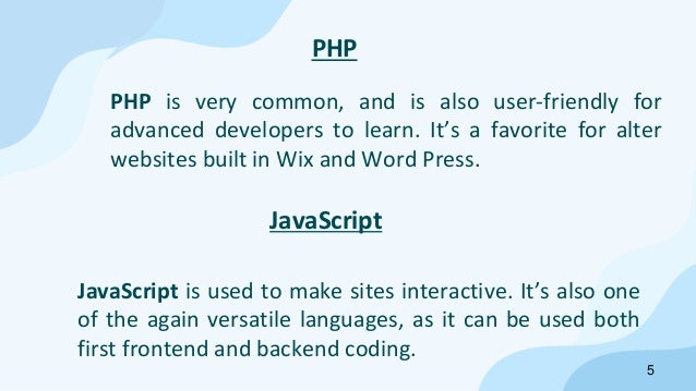 What is web development, and what are its types? | PPT