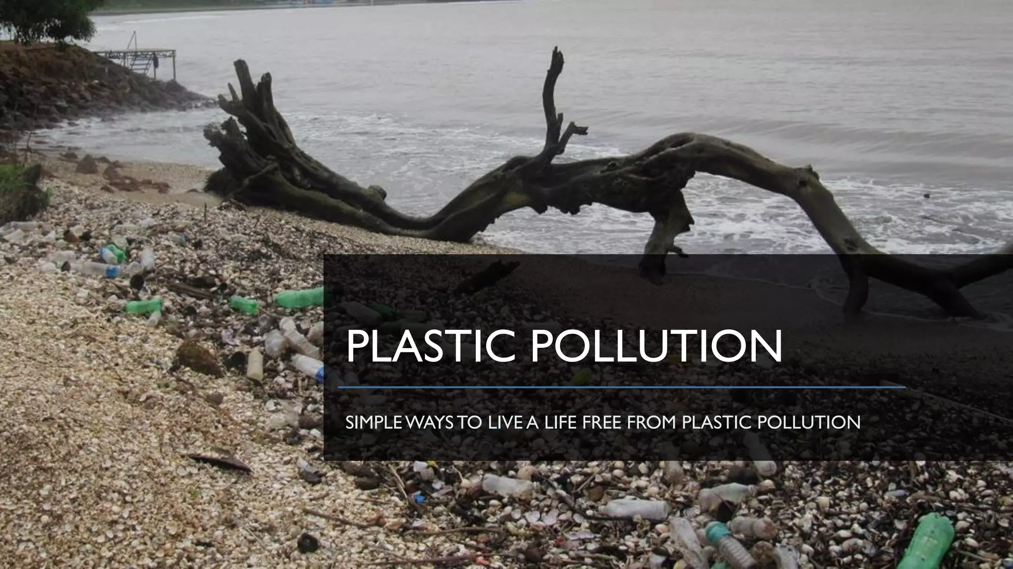 Simple ways to live a life free from plastic pollution | PPT