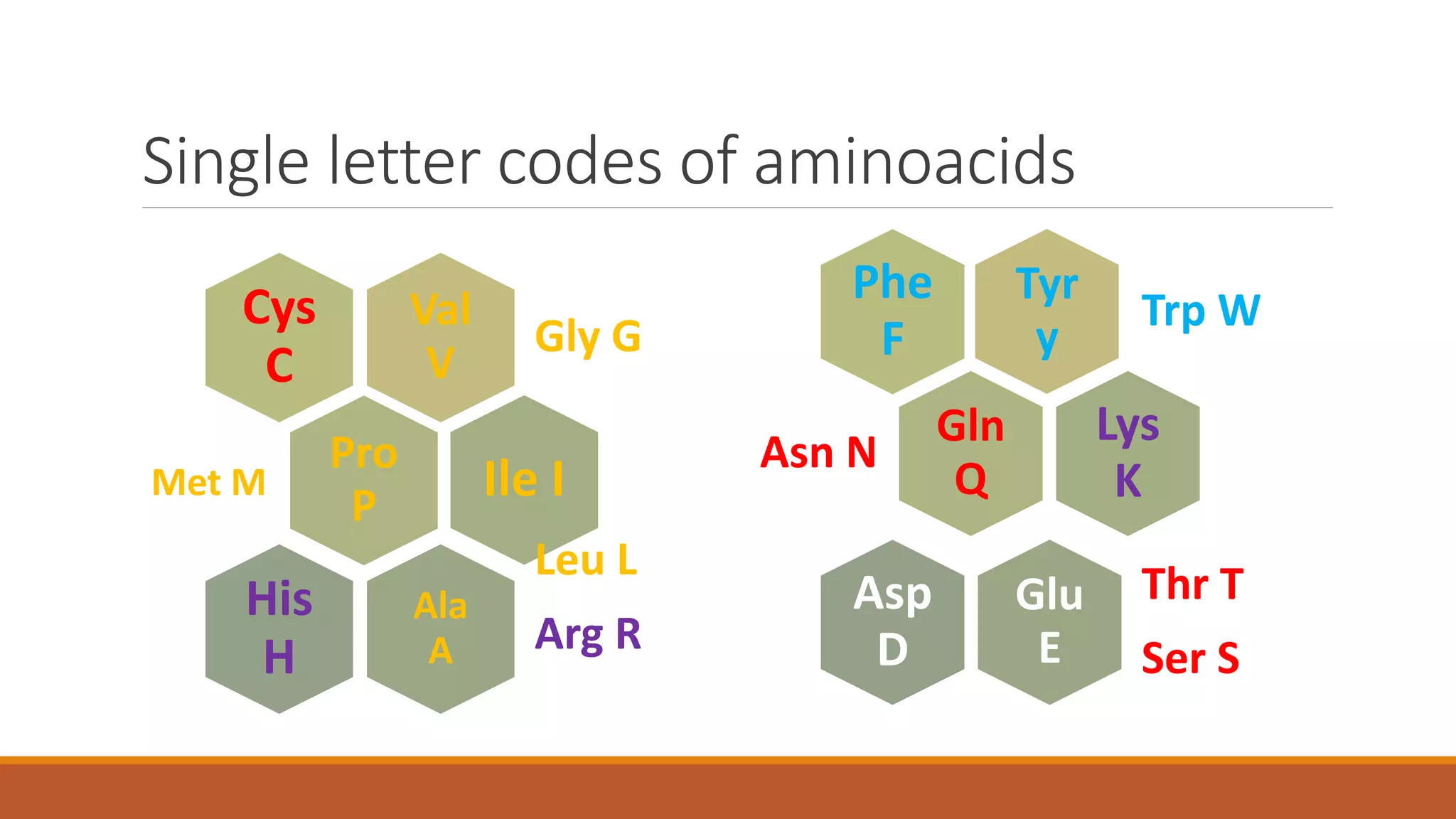 Simple way to remember amino acid classification | PPTX