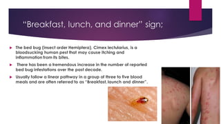 Breakfast Lunch And Dinner Sign