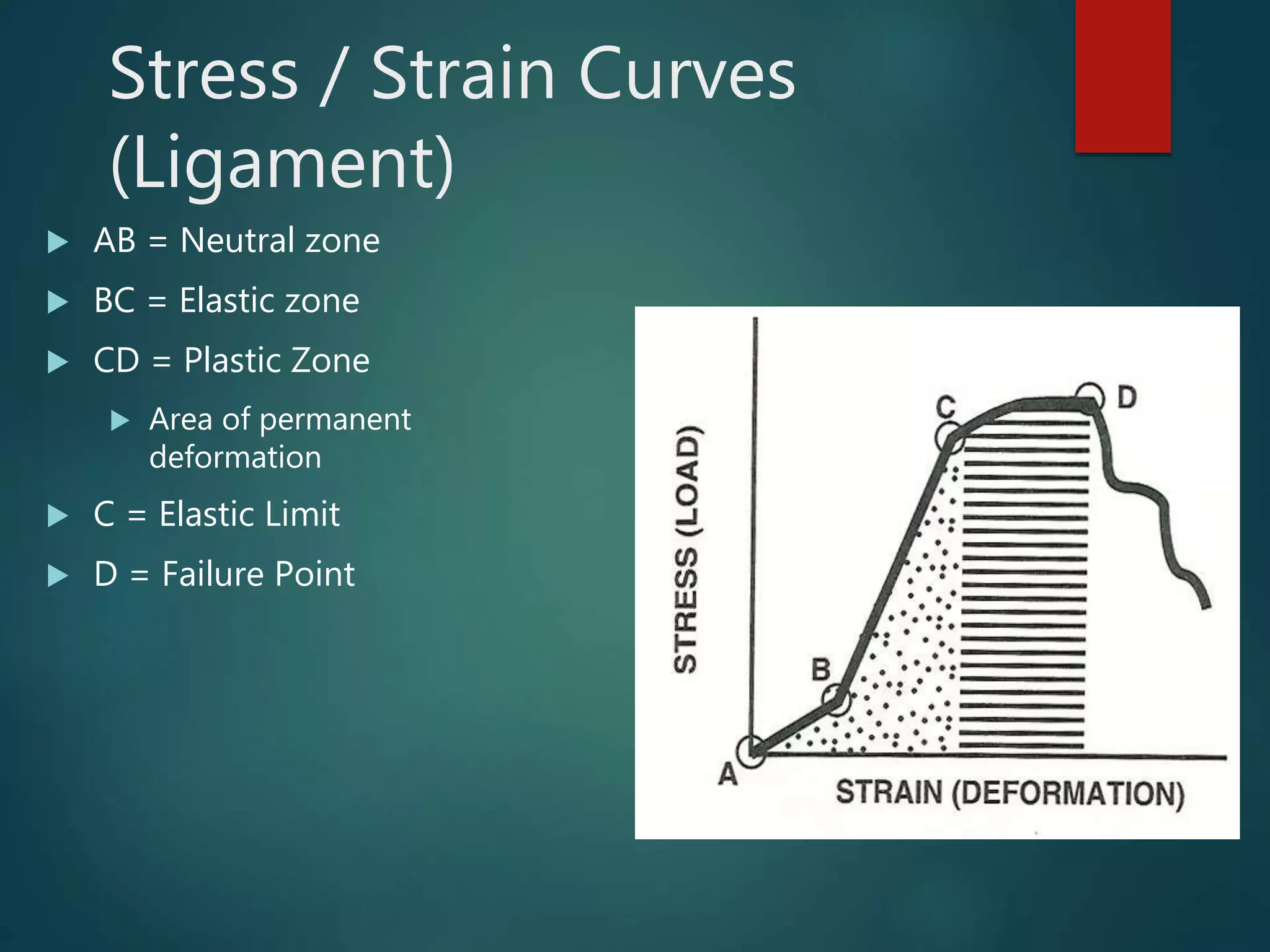 Simplified biomechanics of The Spine.pptx