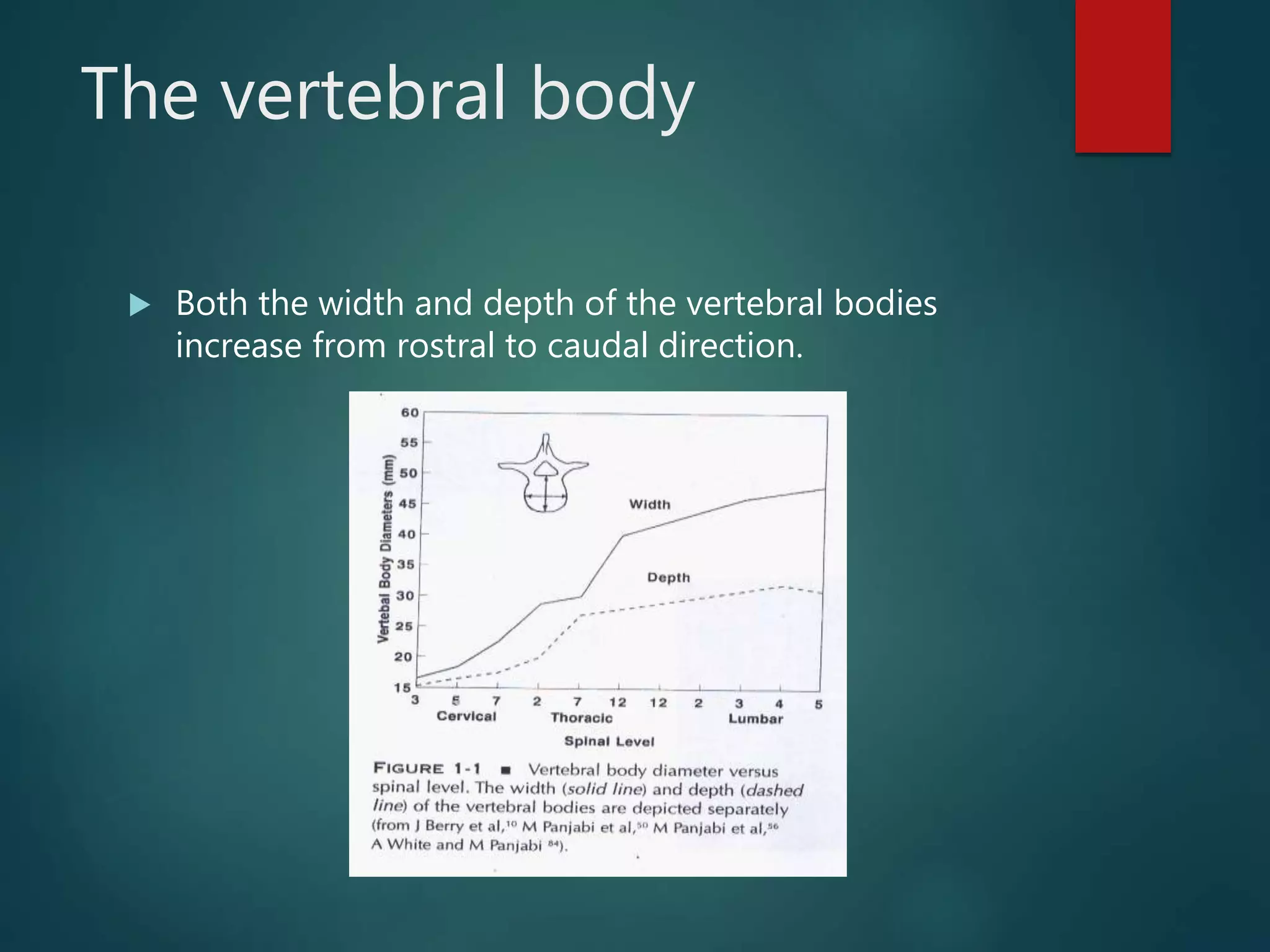 Simplified biomechanics of The Spine.pptx