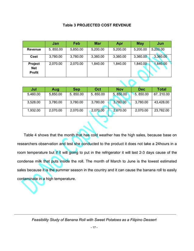 simplified business plan_sample only.pdf