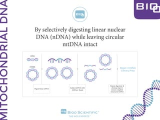 Bioo Scientific - Simplify and Reduce Cost of mtDNA Isolation and ...