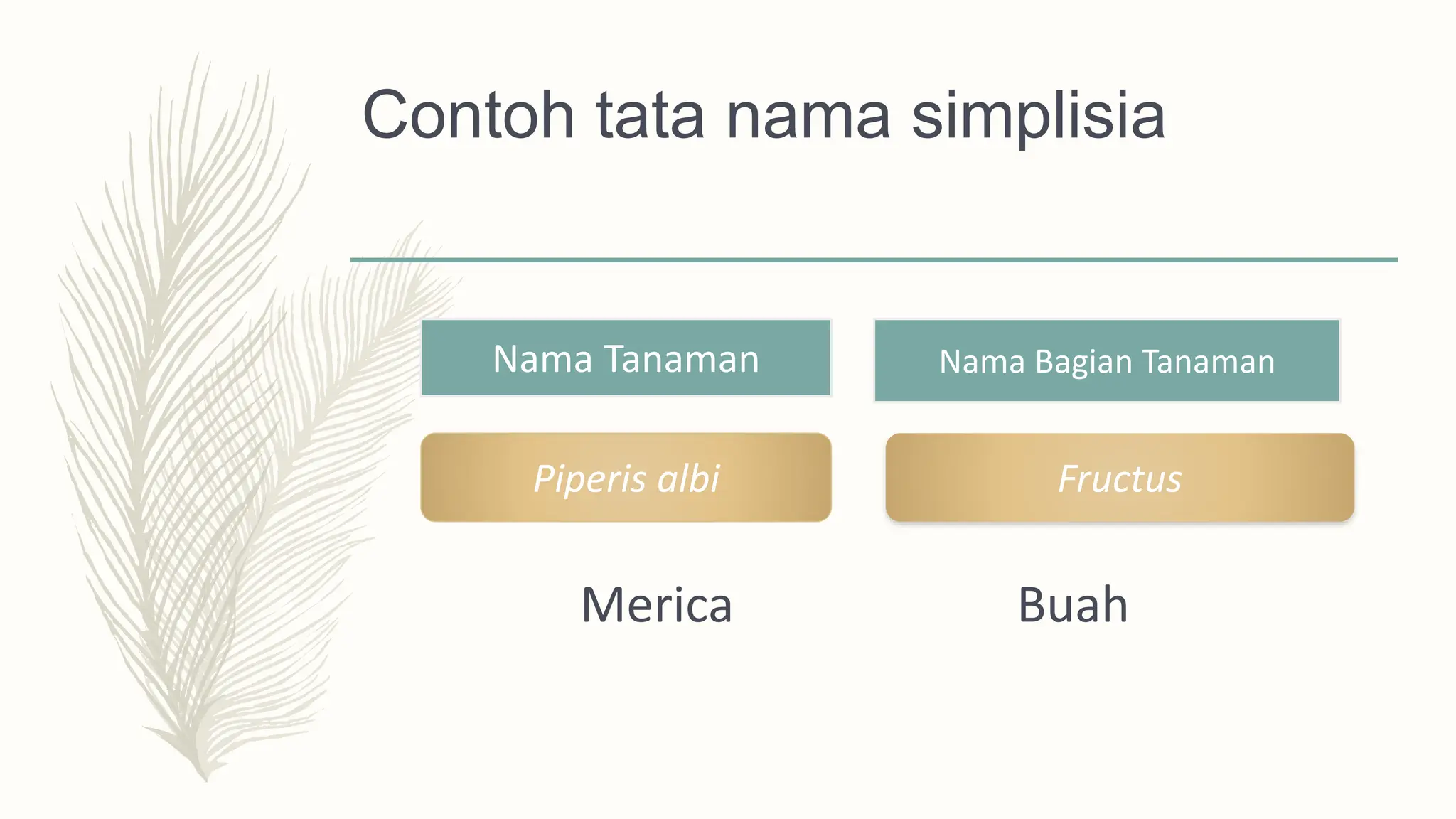 SIMPLISIA tumbuhan flos fructus semen.pptx