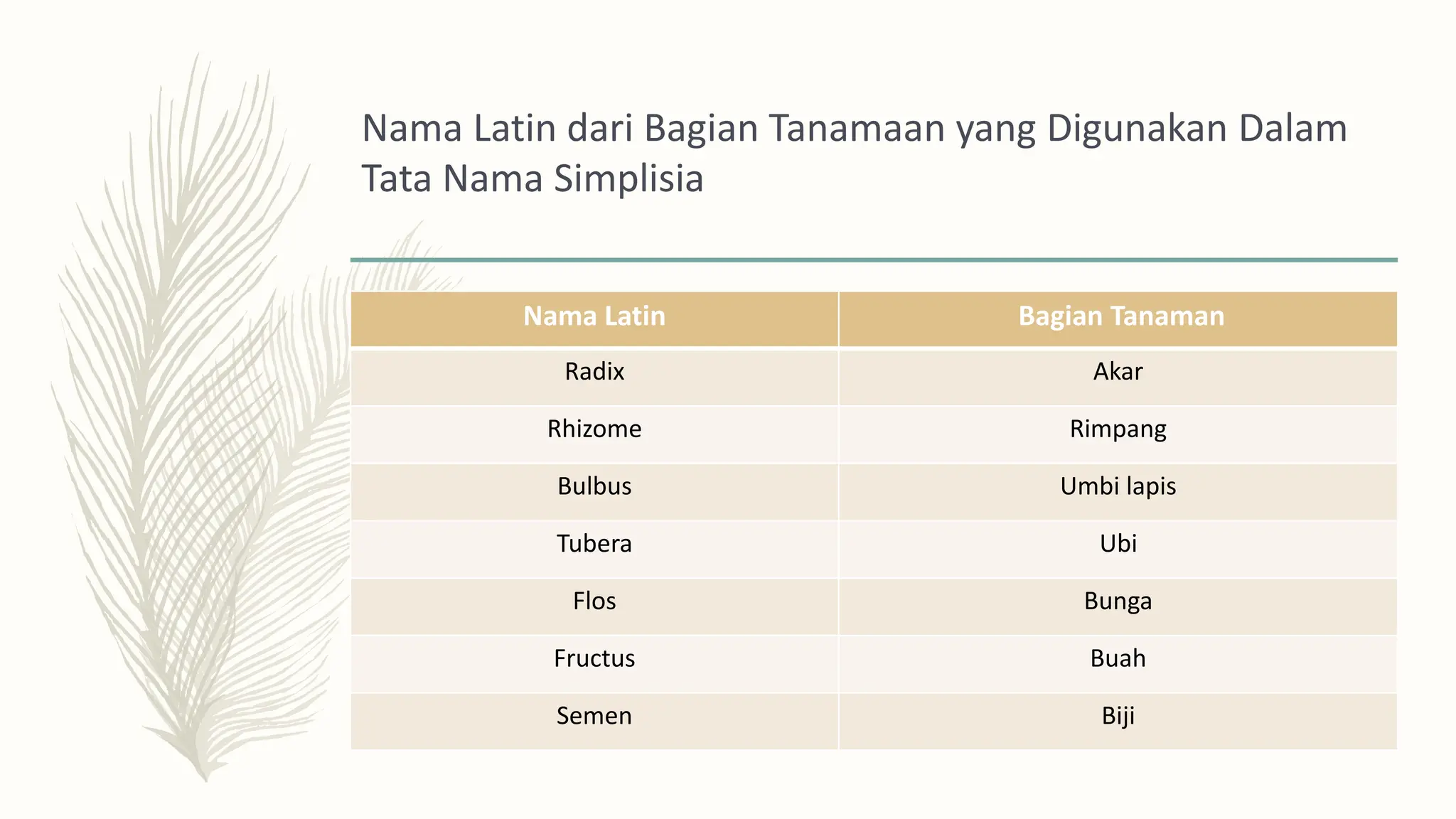SIMPLISIA tumbuhan flos fructus semen.pptx