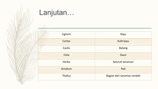 SIMPLISIA tumbuhan flos fructus semen.pptx