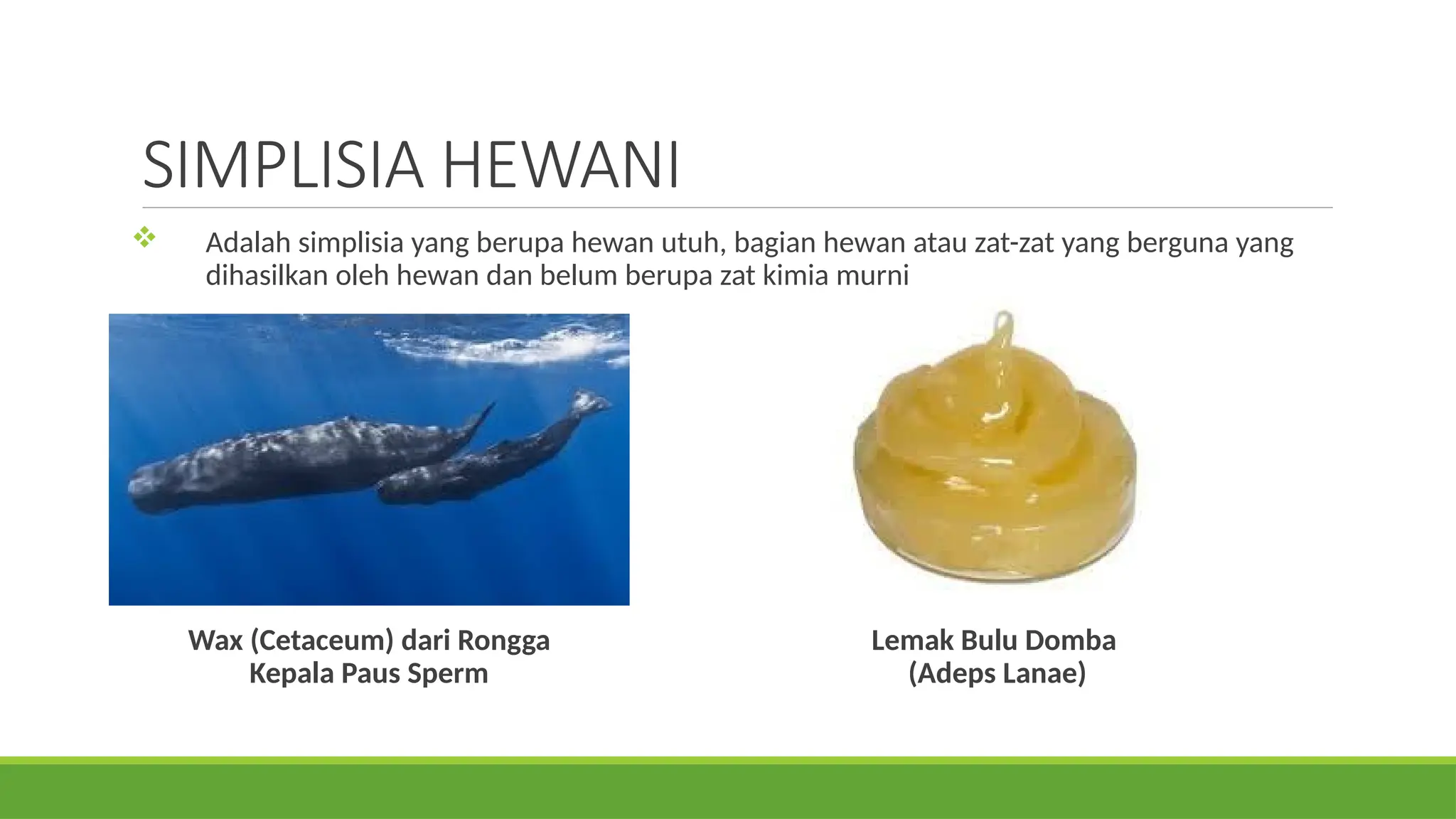 SIMPLISIA flos bunga lengkap melati, cengkeh dll | PPTX