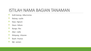 SIMPLISIA flos bunga lengkap melati, cengkeh dll | PPTX